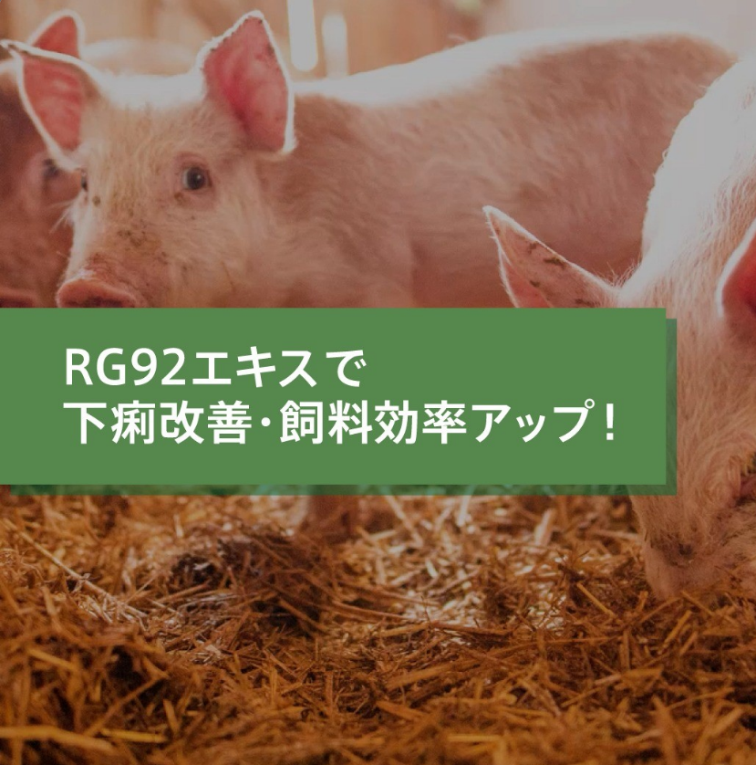 【温泉藻類RG92】日本の畜産の未来を変える 新たな資源として、サステナブルな社会の実現に貢献！ by 株式会社SARABiO温泉微生物研究所