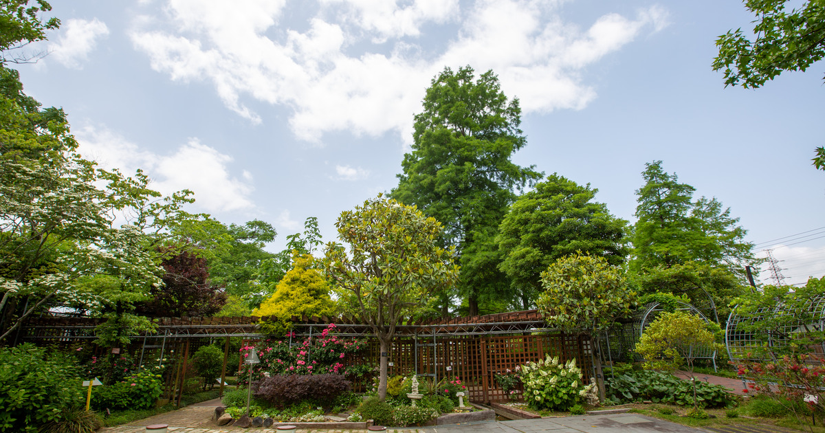 自然が好き。でも自然だけじゃない。【スタッフインタビュー①】 | NPO法人ECCOM