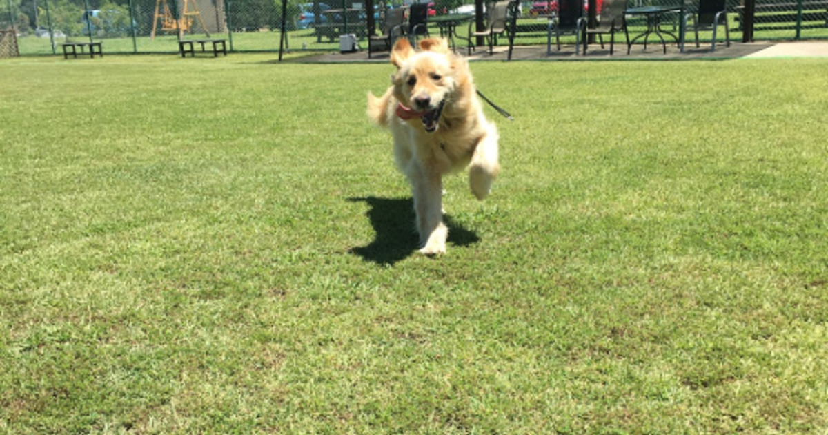 走りたいっ・・・！ | 株式会社WETCH