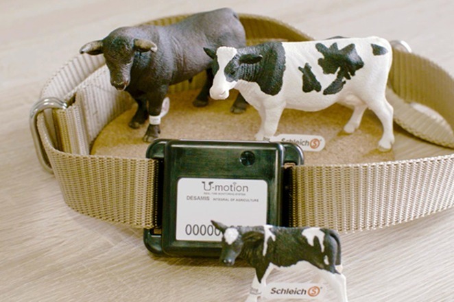 Ruby経験歓迎！農業×ITの力で日本の未来を変えるエンジニア募集！ - デザミス株式会社のWebエンジニアの採用 - Wantedly