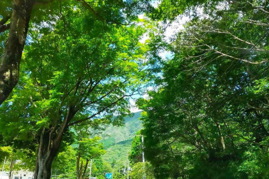 少数精鋭！一流のバックエンドエンジニアを目指す方を大募集！ - 株式会社JobTechnologyのWebエンジニアの採用 - Wantedly