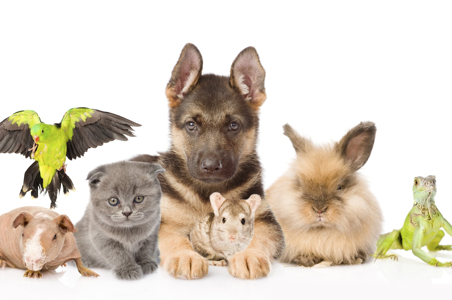 マネジメント経験が活かせます！営業推進担当者Wanted！ - 株式会社TYLのの採用 - Wantedly