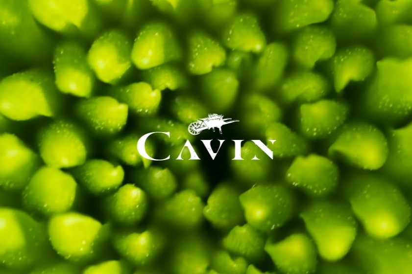 花のスタートアップをグロースさせる、フロントエンジニア募集！ - CAVIN Inc.のエンジニアリングの採用 - Wantedly